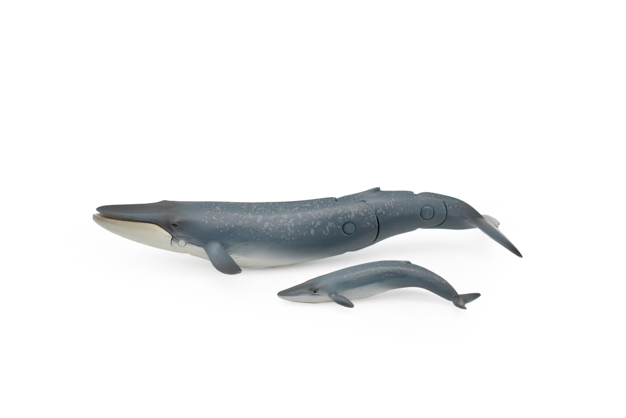 Blue Whale with Baby, Posable Moving Parts, Realistic Toy Model Plastic ...