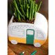 Kids Desktop Bus Planter - Walmart.com