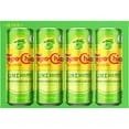 Topo Chico Sabores Sparkling Mineral Water, Lime Flavor with Mint ...