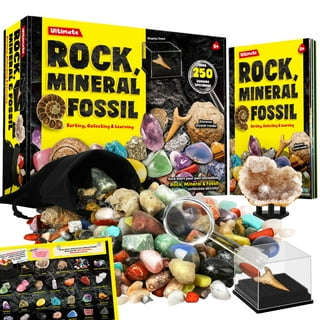 Toysmith Smashable Geodes Kit - Walmart.com