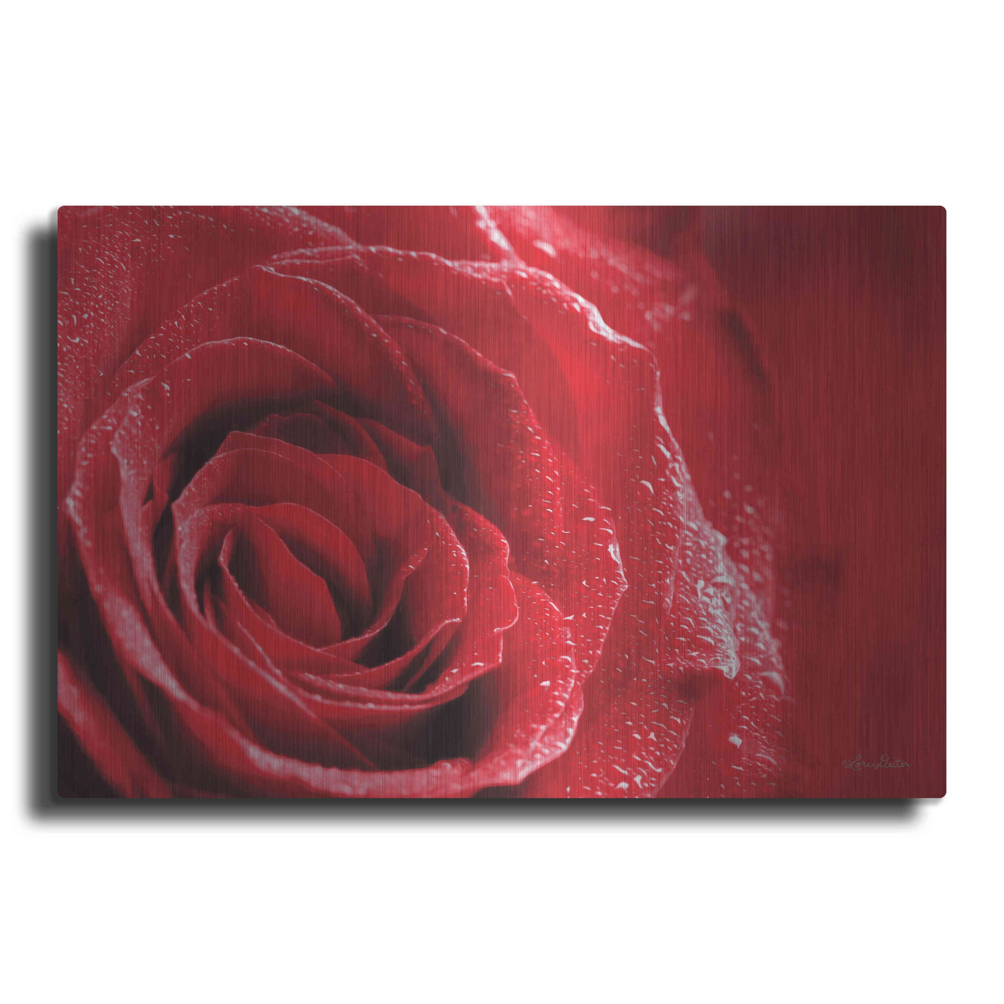 Luxe Metal Art 'Red Rose After Rain' by Lori Deiter, Metal Wall Art, 24 ...