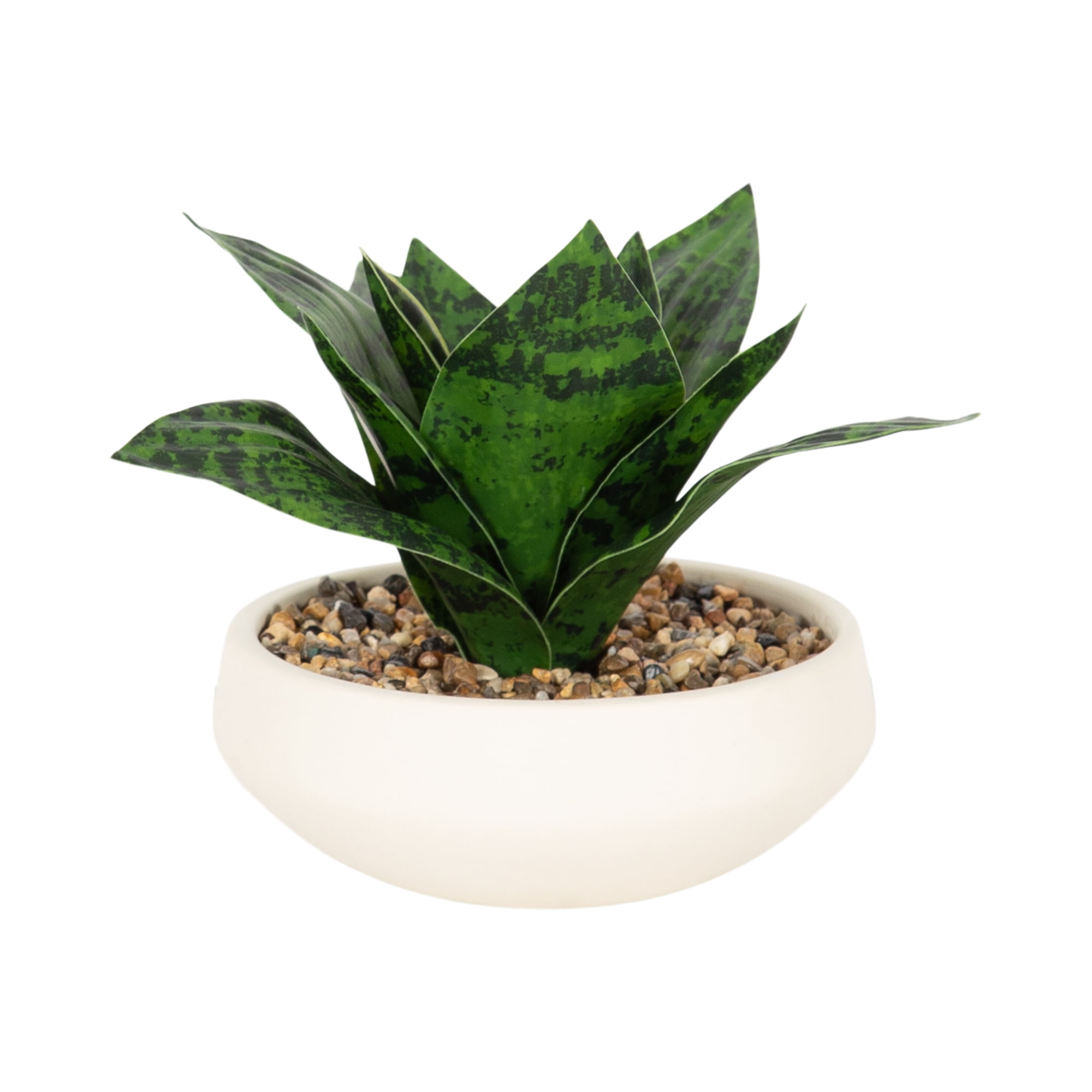 Click here for Designovation 6.25H Artificial Snake Plant In Whit... prices