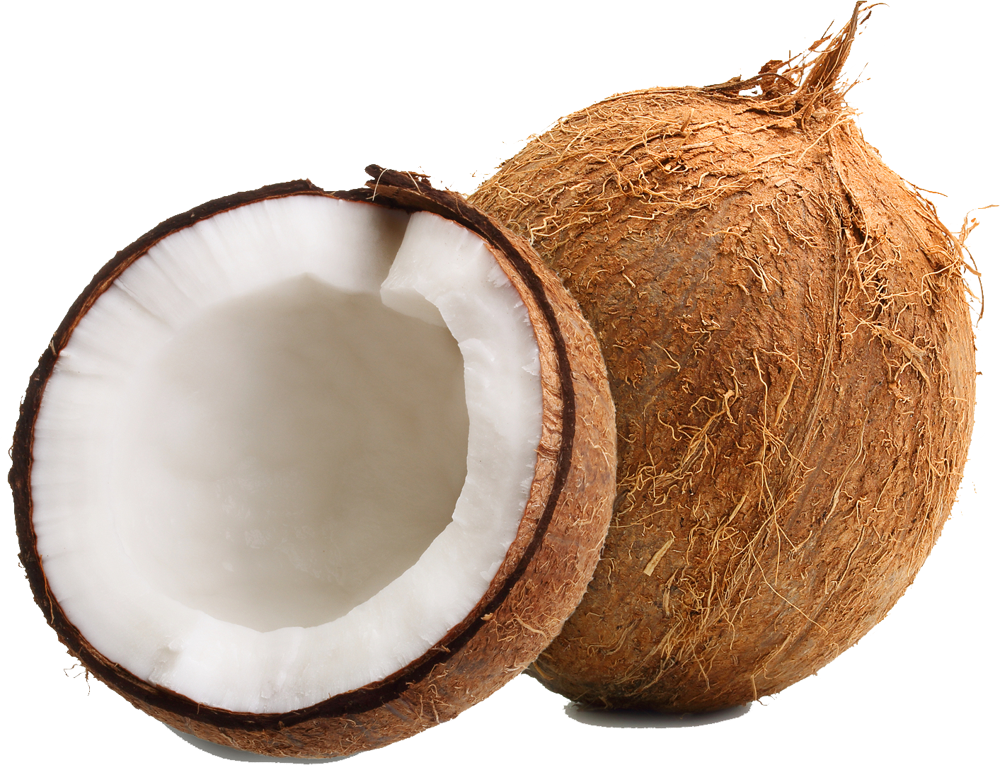 Coconut Each Walmart Coconut Each Walmart