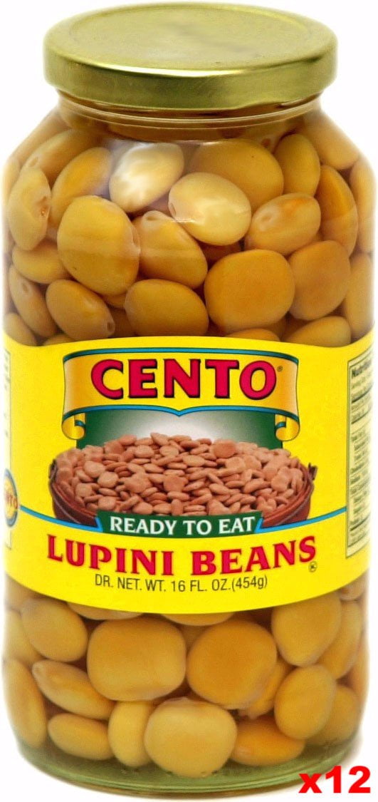 Lupinus Bean
