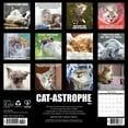 Willow Creek Press, Cat Astrophe 2025 Wall Calendar - Walmart.com