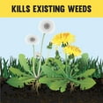 Expert Gardener Weed & Feed Plus Crabgrass Control, Lawn Fertilizer 18 ... Expert Gardener Weed & Feed Plus Crabgrass Control, Lawn Fertilizer 18 ...