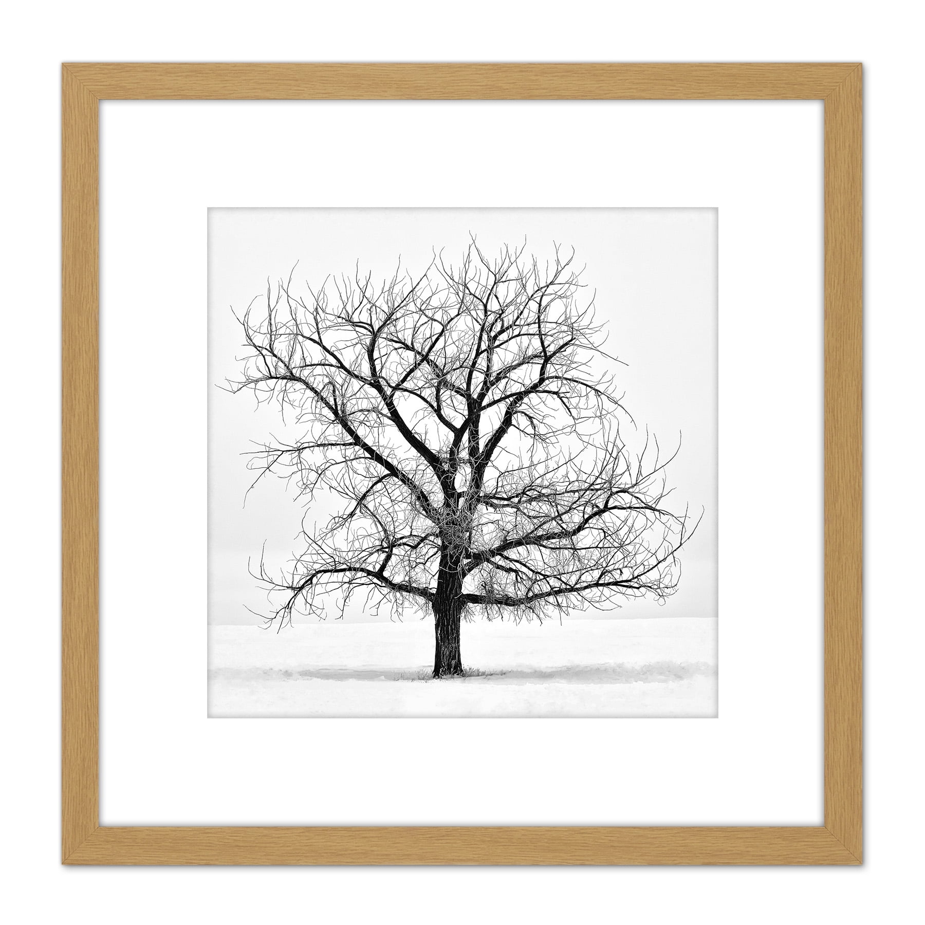 Lone Tree Winter Frost Snow Black White Photo 8X8 Inch Square Wooden ...