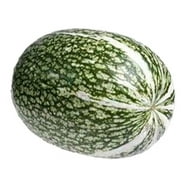 Gourd Seeds - Bonanza - 3 g Packet ~15 Seeds - Non-GMO, Heirloom ...