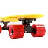 WHOME Cruiser Skateboards - 22 Inch Skate Board for Adults/Kids ...