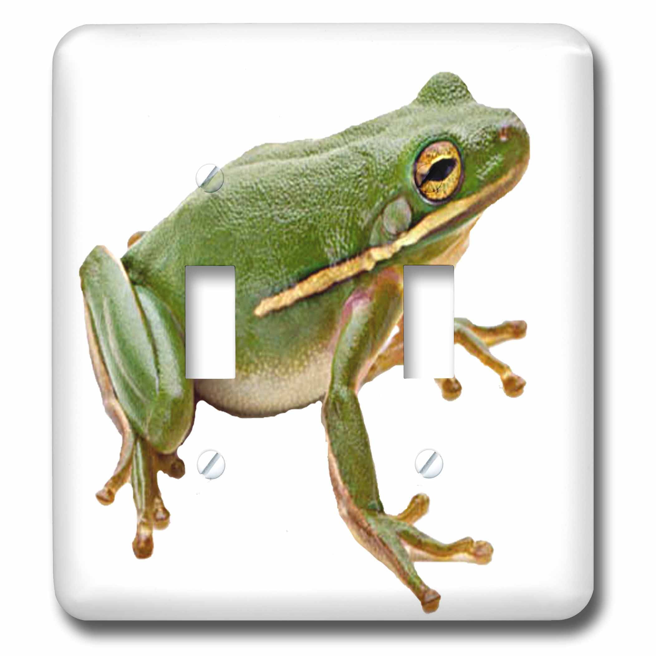 Green Frog double toggle switch lsp-17312-2 - Walmart.com