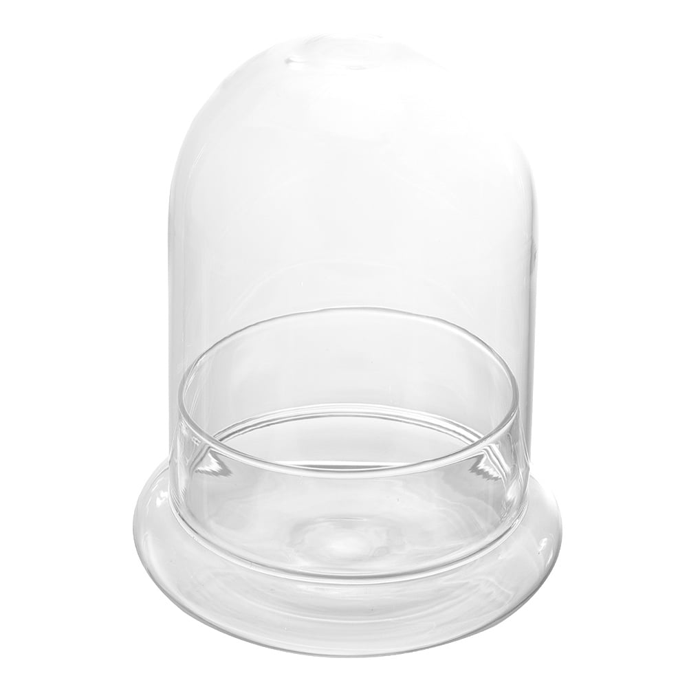 Glass Terrarium Display Jar Dome Cloche Succulent Micro Canister Bottle ...