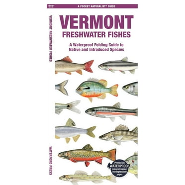 Freshwater Fishing Tips & Techniques : A Fully Illustrated Guide to ...