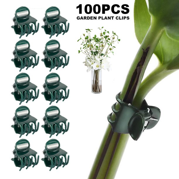 Orchid Clips, 100 Pack Plastic Plant Clips,Vine Attachment Clip Flower ...