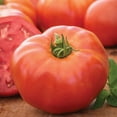 Burpee Bodacious Hybrid Tomato Vegetable Seed, 1-Pack - Walmart.com Burpee Bodacious Hybrid Tomato Vegetable Seed, 1-Pack - Walmart.com