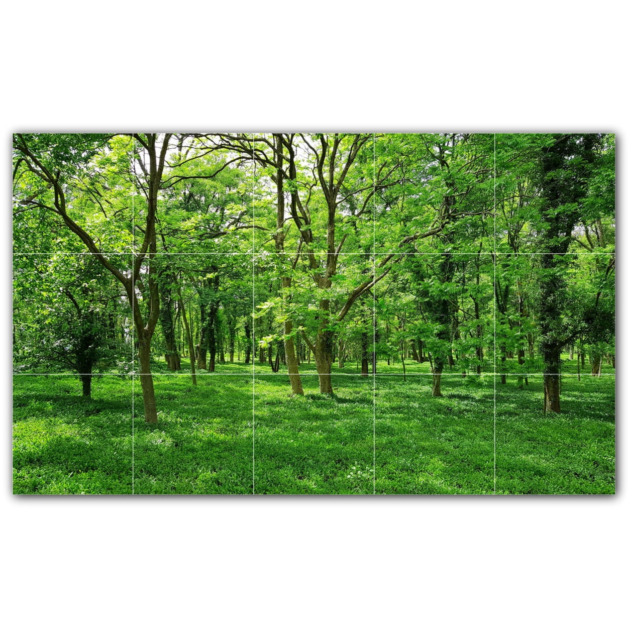 Picture-Tiles.com: Trees Ceramic Tile Wall Mural WAL501005-53M. 30"W x ...