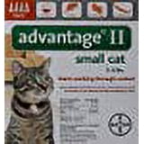 Free Shipping! Advantage Flea Control for Cats 1-9 lbs 4 Month Supply ...