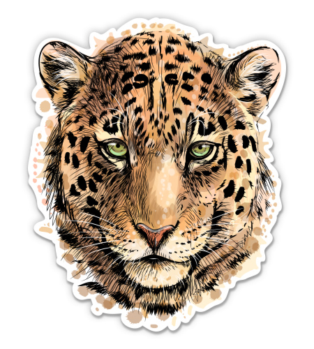 Leopard - 5" Vinyl Sticker - For Car Laptop I-Pad - Waterproof Decal ...