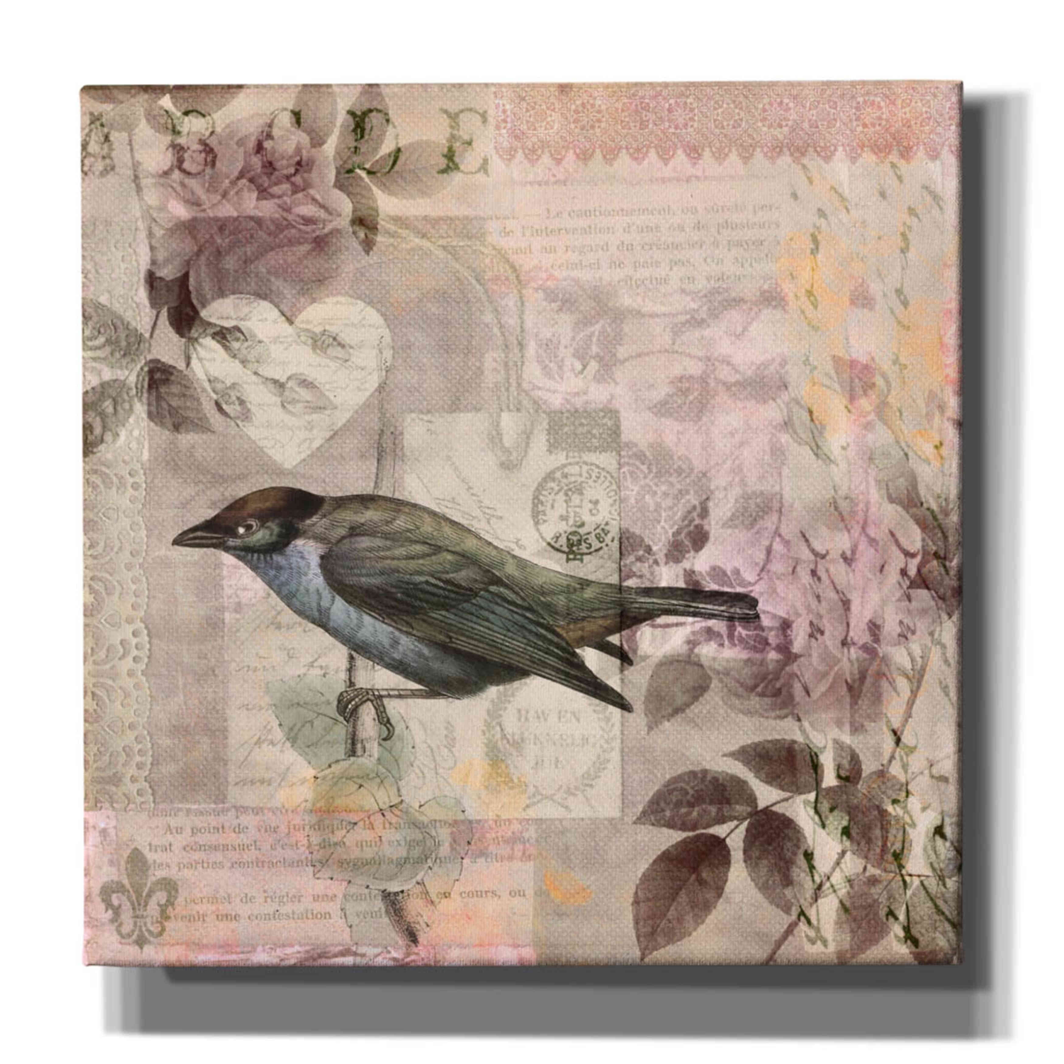 Epic Graffiti 'Nostalgic Bird Collage' by Andrea Haase Giclee Canvas ...