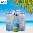 Azul Coconut Water With Pulp, Natural Hydrating Coconut Elixir, (24x16 ...