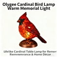 Olygee Cardinal Lamp, Fanyil Sheremart Pubyfun Tiffany Bird Stained ...