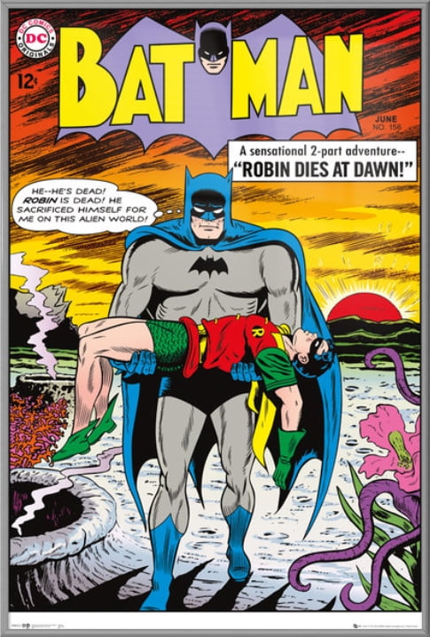 Batman And Robin Comic Book Covers