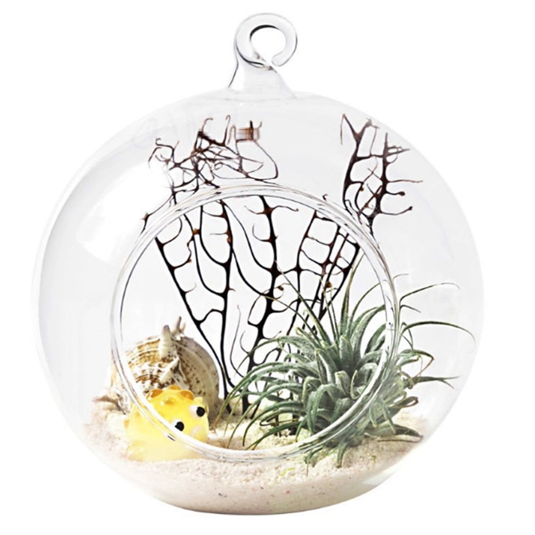 Click here for Nobrand Glass Terrarium Decorative Glass Hanging P... prices