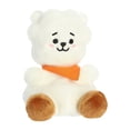 Aurora World BT21 RJ Plush Palm Pals Stuffed Animal Toy (5 inch ...