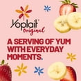 Yoplait Original Smooth Style Strawberry Banana Flavored Low Fat Yogurt ...