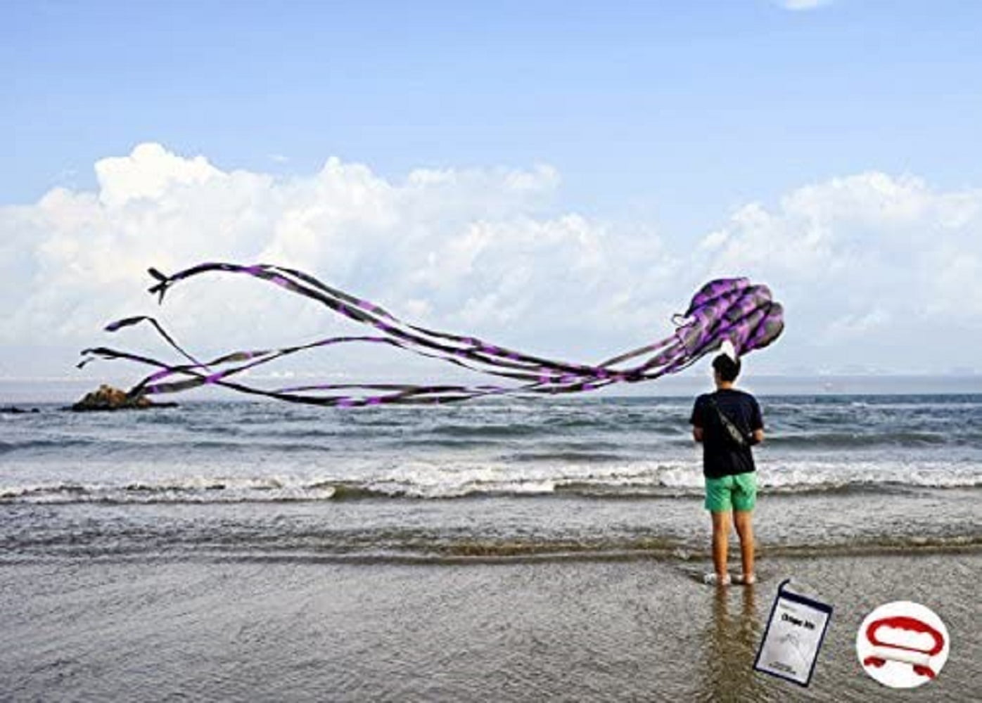 Kizh Kite Octopus Large Frameless Soft Parafoil Kites 157 Inchs Long ...
