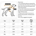 Cute Spring Summer Dog Outfit for Small Dogs - Stylish Two-Legged ...