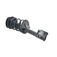 FCS Automotive International Complete Strut Assembly - Walmart.com