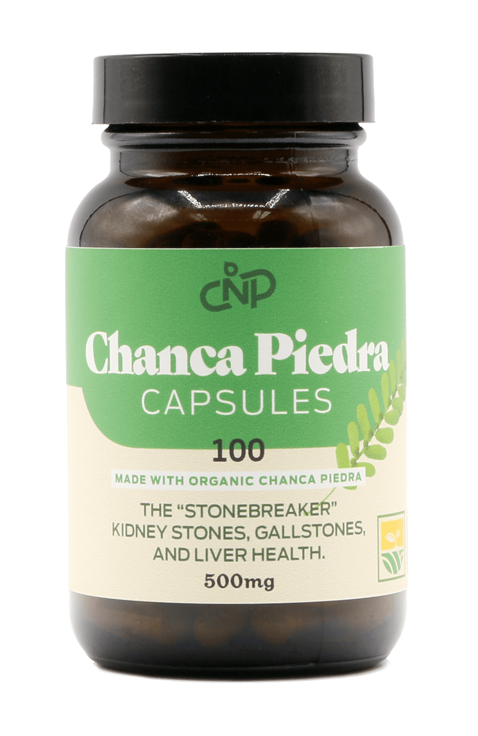 Organic Chanca Piedra Capsules - 500mg, 100 Pills, Pure Phyllanthus ...