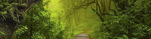 aquarium terrarium backgrounds main (rainforest with walkway, 60”l x 14 ...