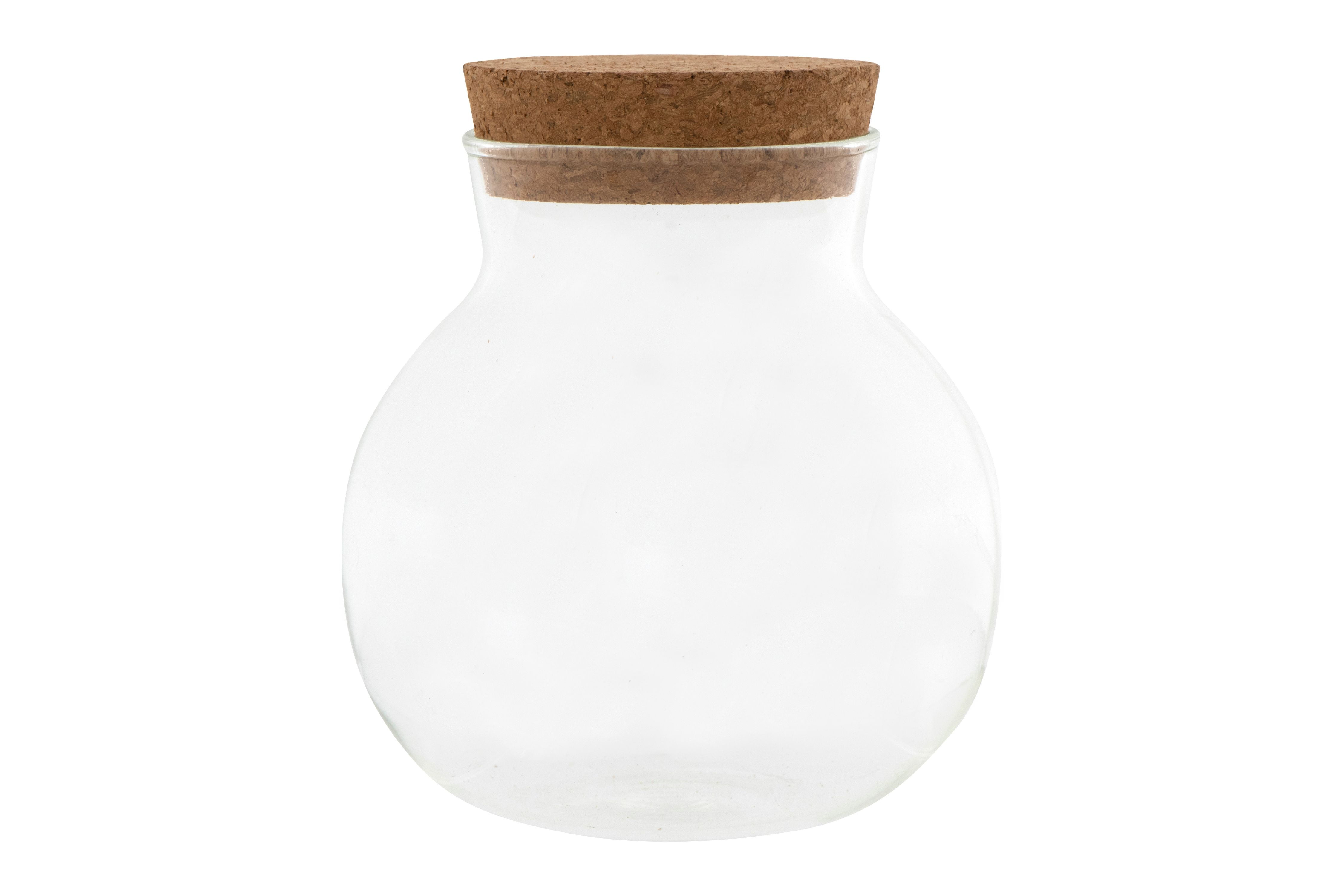 Creative Co-Op Small Clear Glass Jar with Cork Lid - Walmart.com