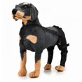 Stibadium 1 Pair Dog Leg Brace, Pet Dog Hind Legs Protector Adjustable ...