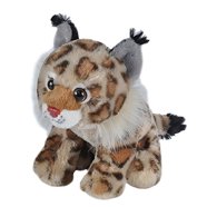Cuddlekins Lion Baby Plush Stuffed Animal by Wild Republic, Kid Gifts ...