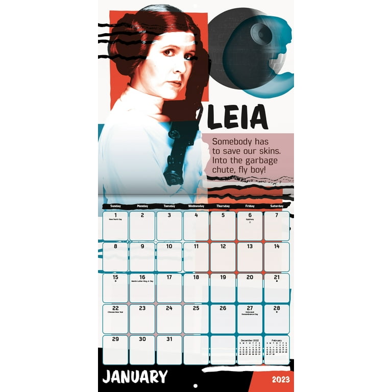 Women Of Walmart Calendar