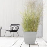 EcoPots Rotterdam Durable Indoor/Outdoor Modern Recycled Plastic Square ...