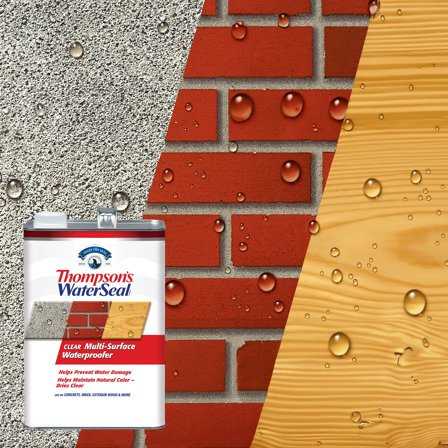 Thompson's WaterSeal Waterproofer Plus Wood Protector, Clear, 5 Gallon ...