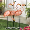 Flock O? Flamingos Décor - Walmart.com