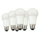 TCP 60W Equivalent Daylight (5000K) A19 Non-Dimmable LED Light Bulb (6 ...
