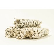 Bulk Sage Bundles Wholesale Smudge Sticks, Organic Fresh White Sage or Blue Sage Bundles ...