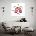 Human Body Respiratory System Diagram Poster Hospital Wall Art Canvas ...