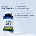 Stonehenge Health Dynamic Joint Supplement, ApresFlex Boswellia, MSM ...
