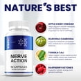 Nerve Action Capsules – NerveAction Natural Ingredients Glycogen ...