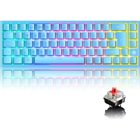 Wired 60% Mechanical Gaming Keyboard, RGB Backlit Ultra-Compact Mini ...