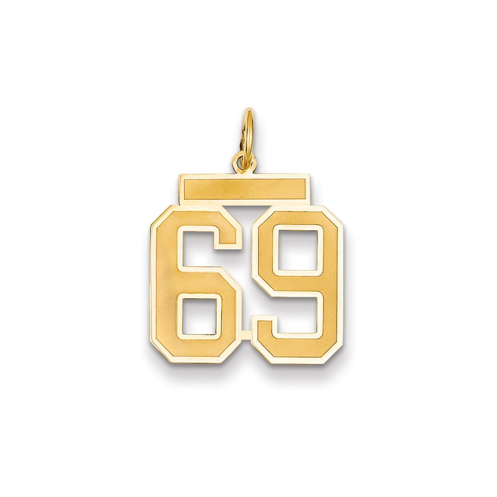 AA Jewels - Solid 14k Yellow Gold Medium Number 69 Charm Brushed Matte ...