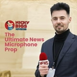 Nicky Bigs Novelties Cordless Handheld Fake News Reporter Microphone ...