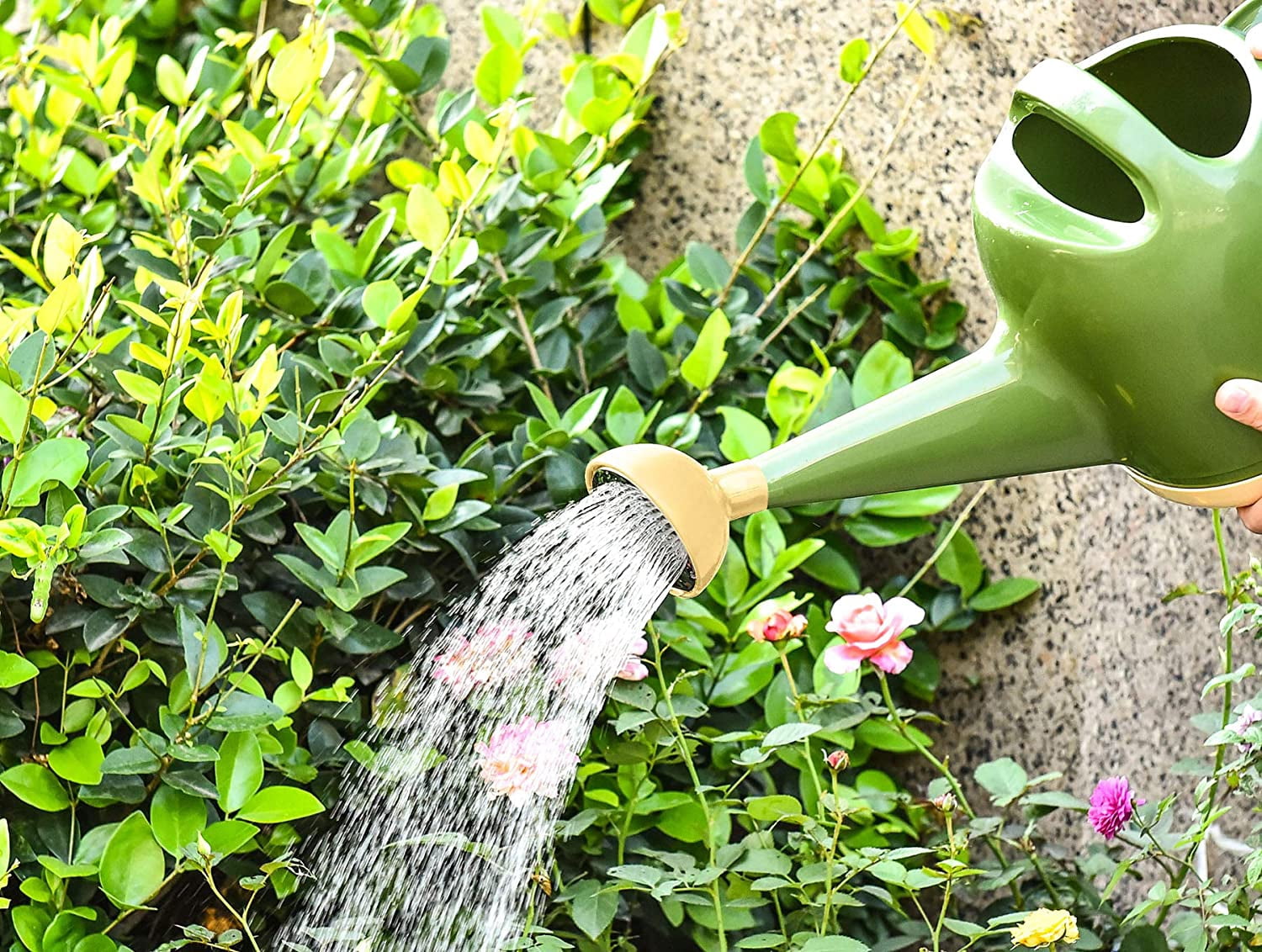 Watering Can Watering Plants