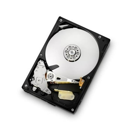 Hitachi Global Storage 0F10381 Deskstar 3.5 in. 500GB 7200RPM SATA II ...